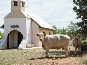 Photo Ops | Santa Rosa - Summer Fun